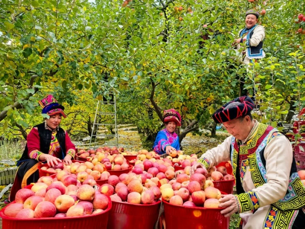 حدائق الجبال - أخبار السعودية | صحيفة عكاظ