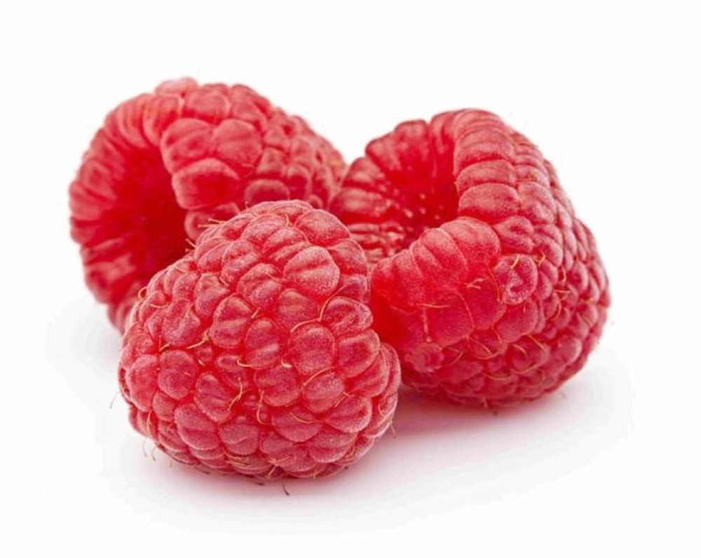 فوائد التوت الأحمر: - أخبار السعودية | صحيفة عكاظ