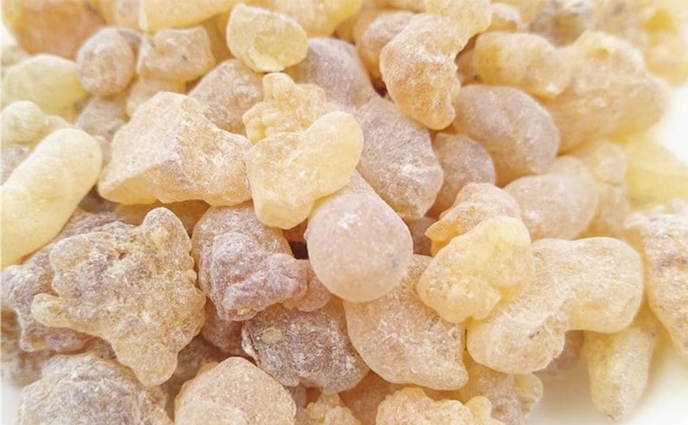 فوائد علك اللبان: - أخبار السعودية | صحيفة عكاظ